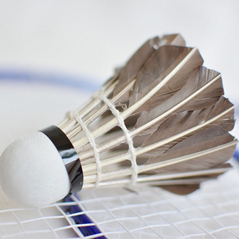 Original volante trophy lightweight portable shuttlecocks